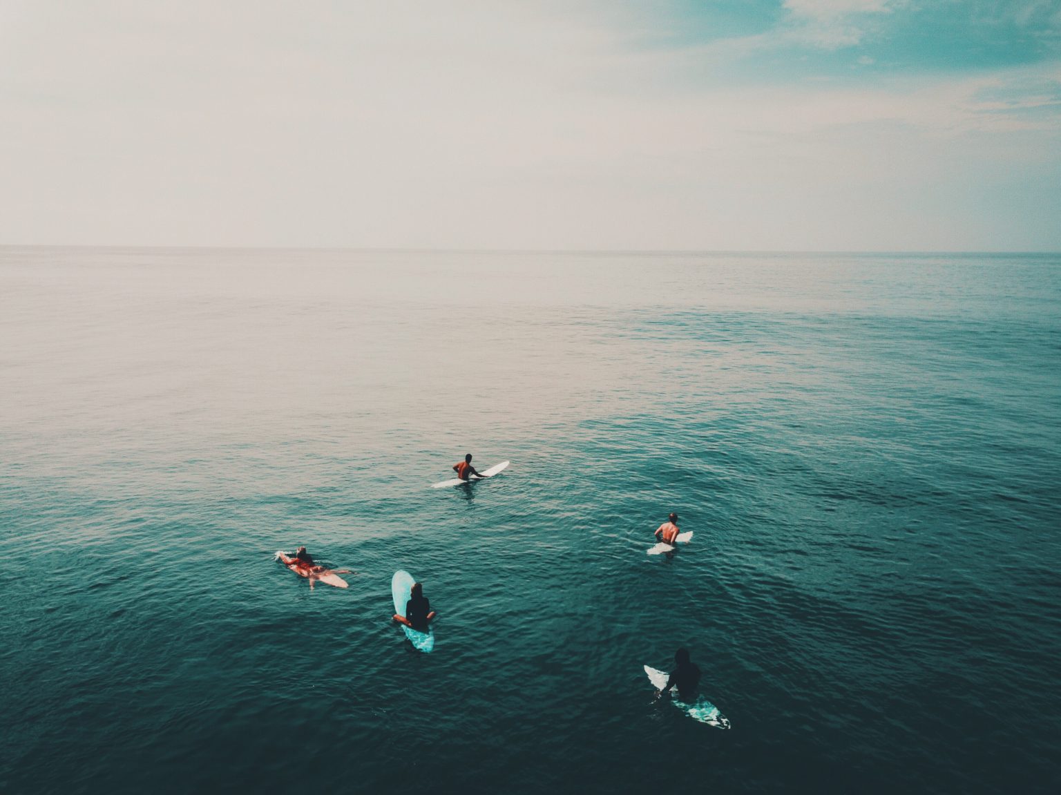Ocean Advocacy - Ocean Conservation Trust