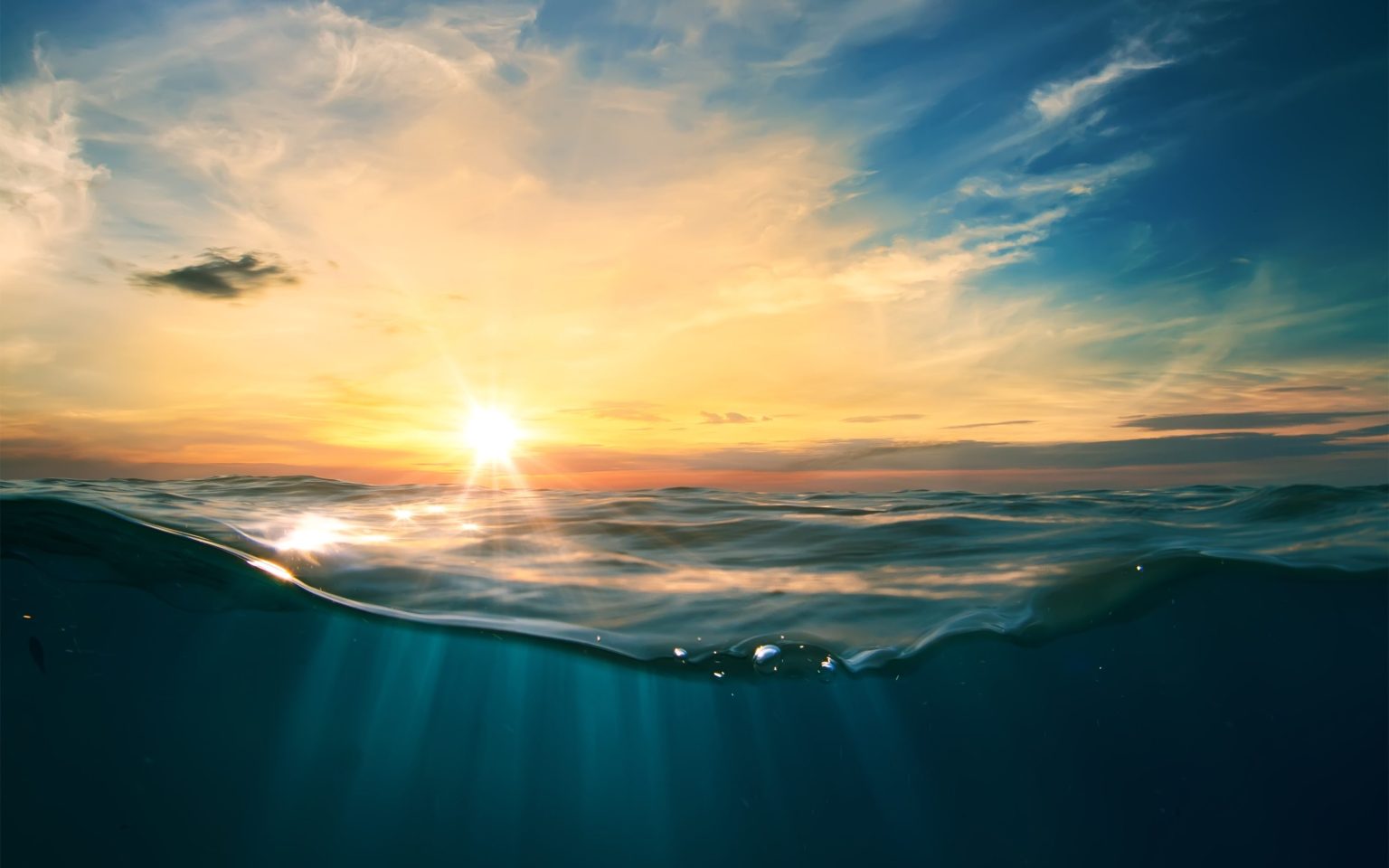 Blue Mind Theory - Ocean Conservation Trust