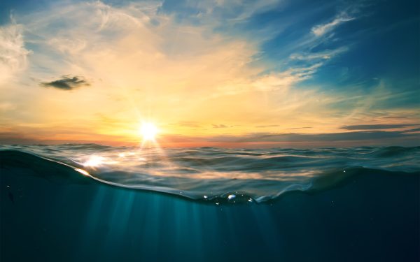 Blue Mind Theory - Ocean Conservation Trust