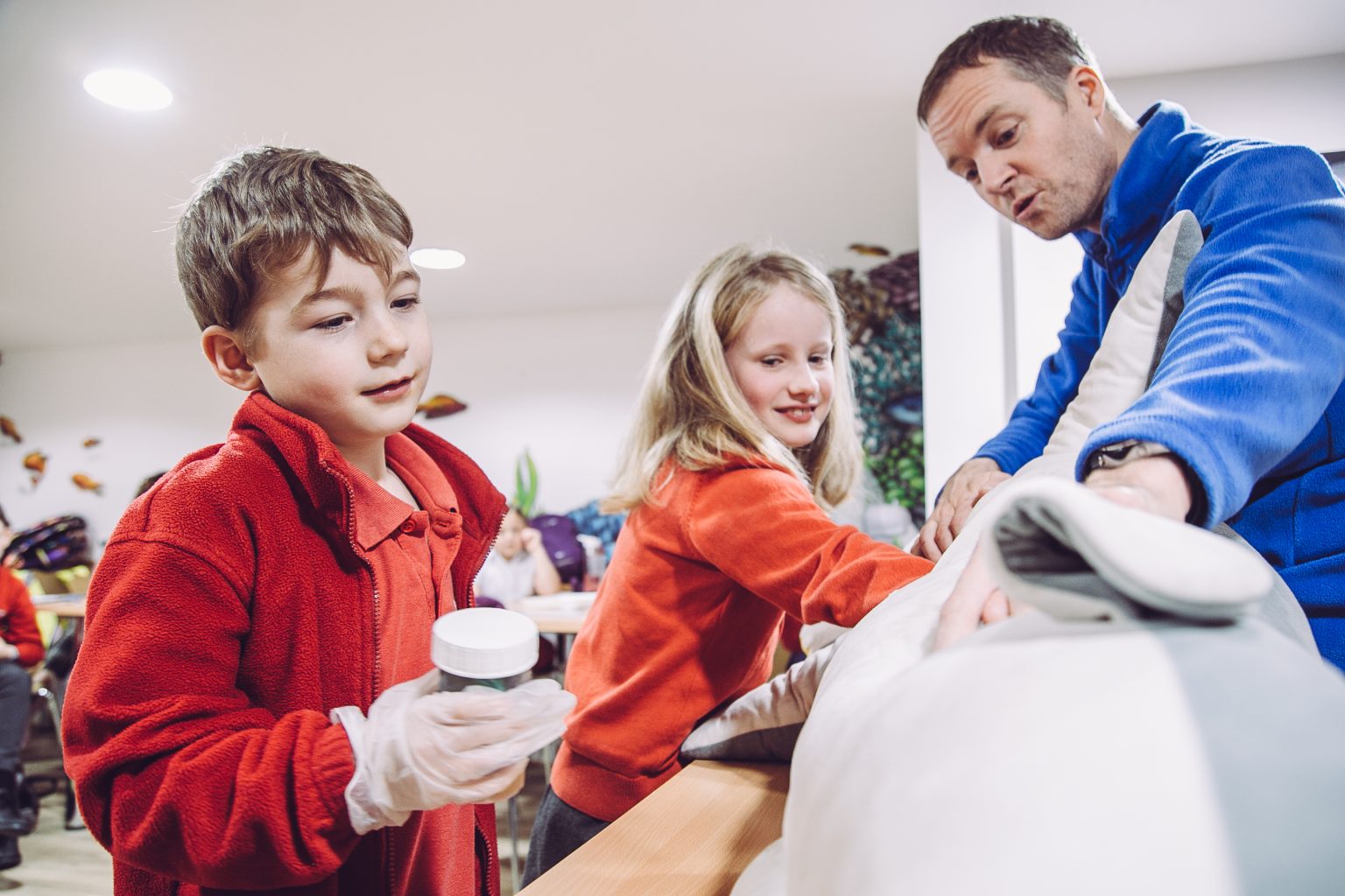 Our previous research - Ocean Conservation Trust