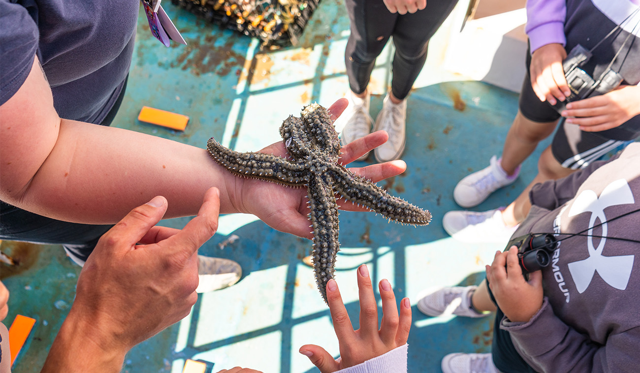 Boat Trips - Ocean Conservation Trust