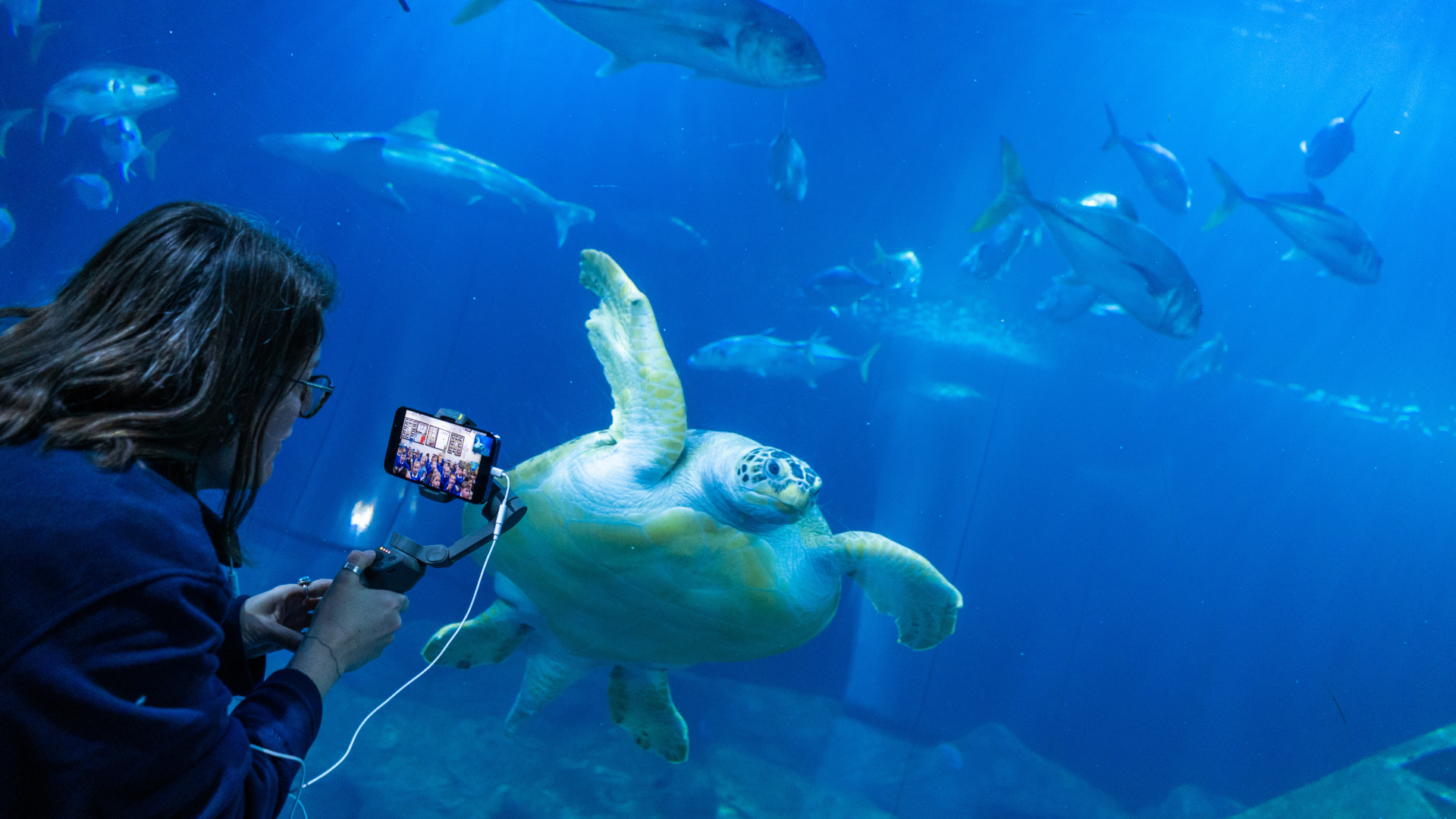Learning & Education - Ocean Conservation Trust