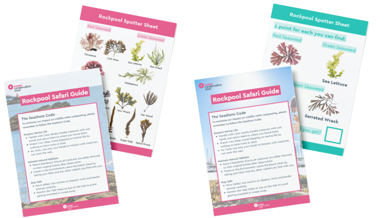 Rockpool Safaris - Ocean Conservation Trust