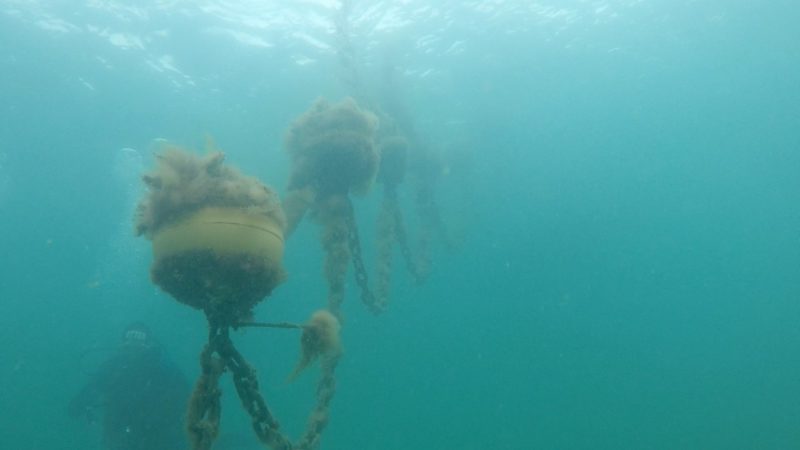 Advanced Mooring Systems - Ocean Conservation Trust