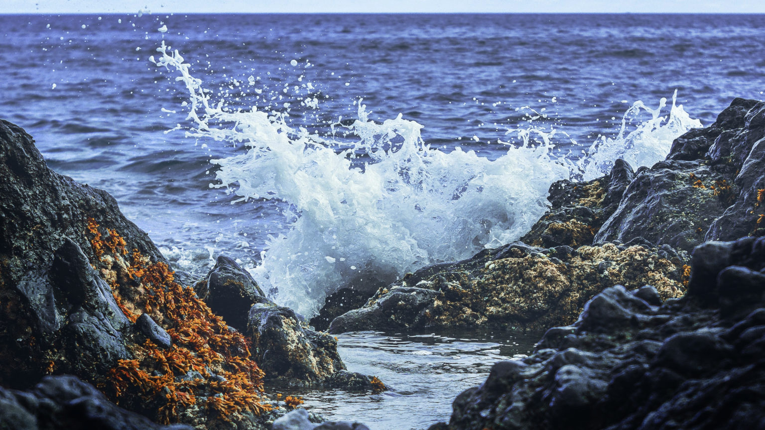 A look back on 2021 for our charity - Ocean Conservation Trust