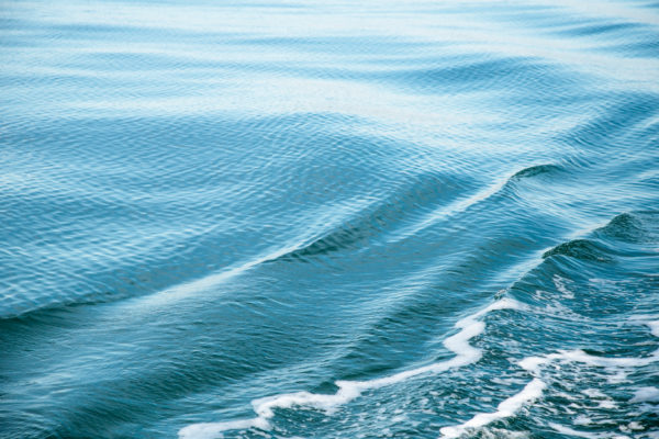 Ten reasons we should ALL care about the Ocean - Ocean Conservation Trust