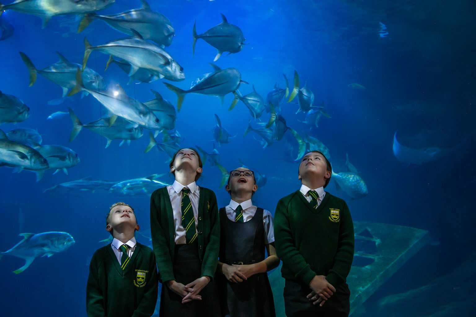 Learning & Education - Ocean Conservation Trust